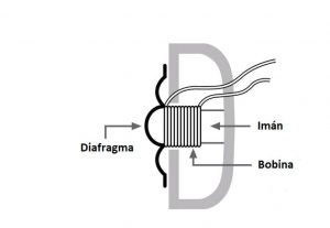 🥇 Partes de un Micrófono: Más Allá de lo Evidente